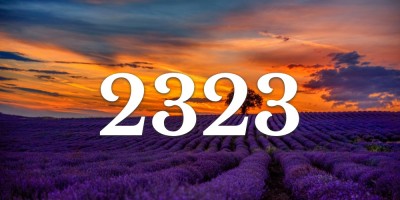 Numerologia do 2323 - Você vê 2323 em todo lugar?